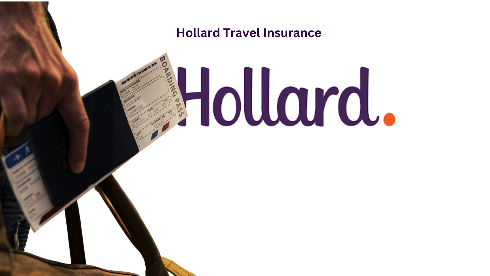 Hollard Travel Insurance Review 2024 | Rateweb