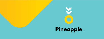 Pineapple Car Insurance Review 2023 | Rateweb - South Africa