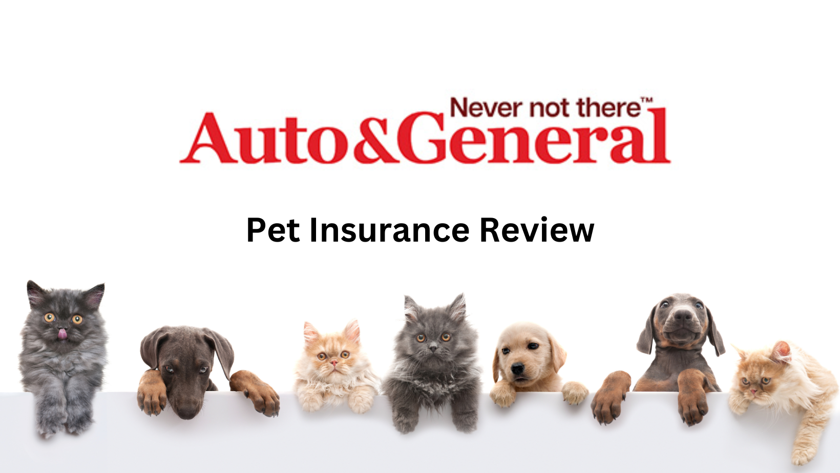 Auto & General Pet Insurance Review 2024 | Rateweb