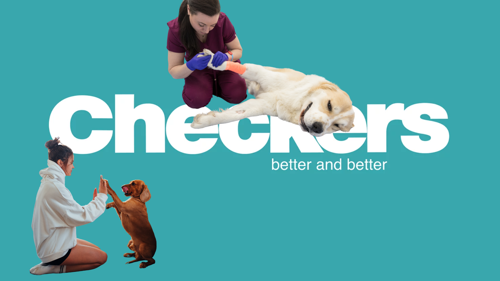 Checkers Pet Insurance Review 2024 | Rateweb