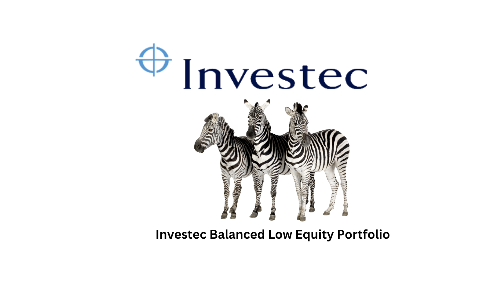 Investec Balanced Low Equity Portfolio Review 2024 | Rateweb